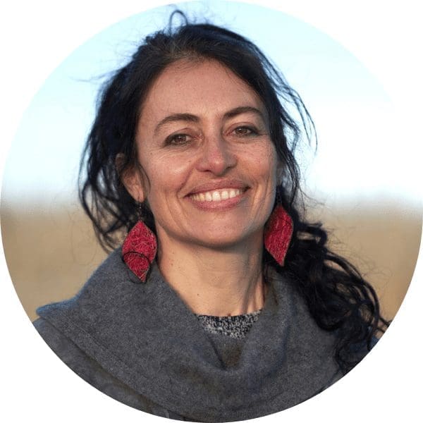 2022 Seminar Series - Marta Ceroni - January 12 - System Dynamics Society