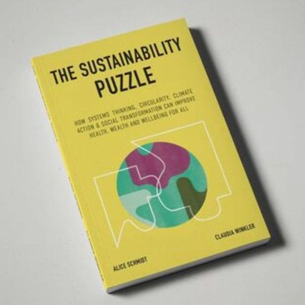 The Sustainability Puzzle - System Dynamics Society